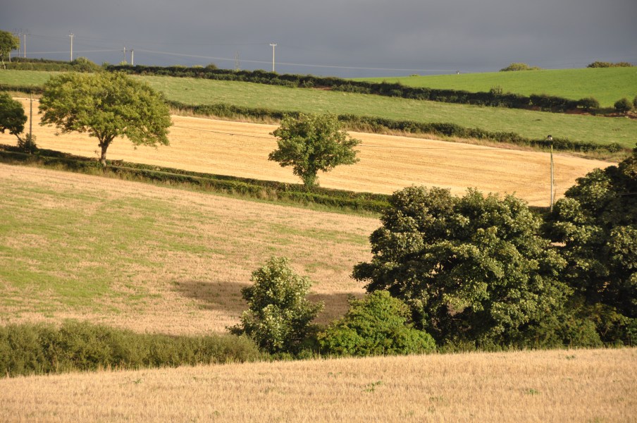 Introduction and Index – Townlands of Ulster