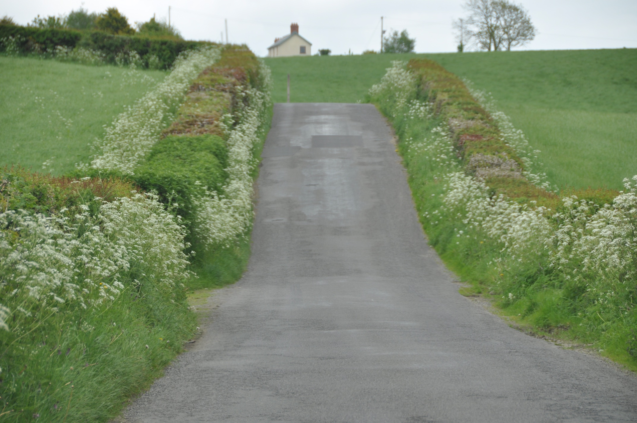 Raffrey – Townlands of Ulster