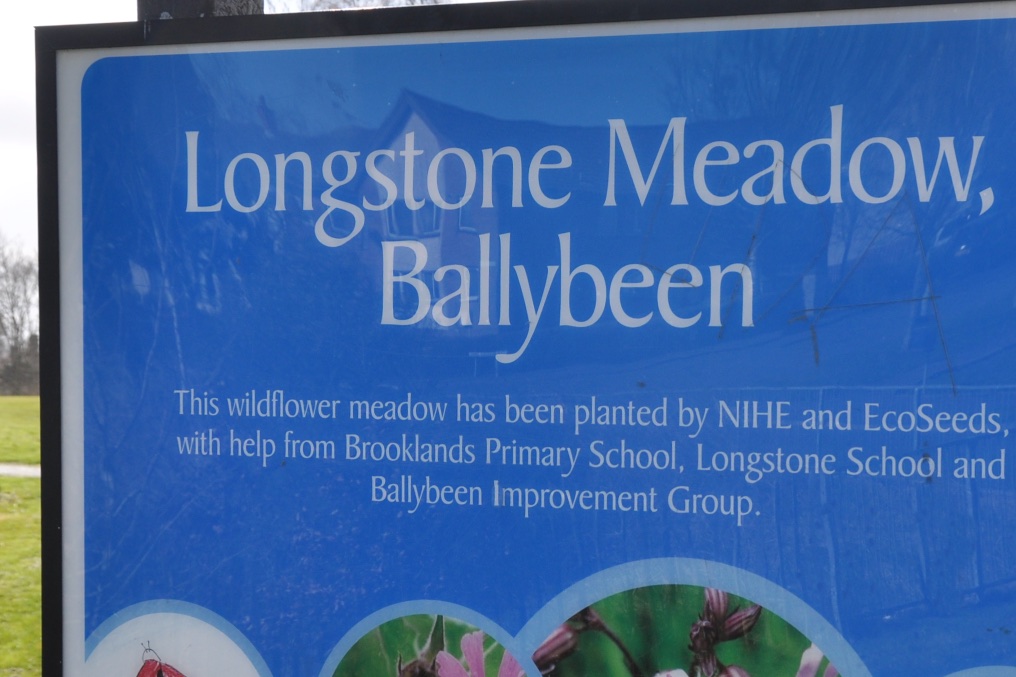 Ballybeen – Townlands of Ulster