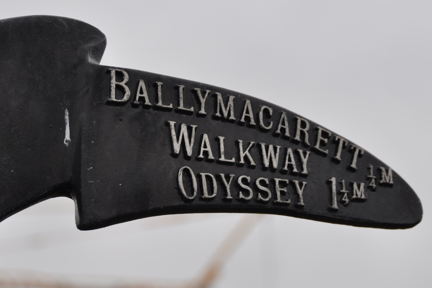 Ballymacarrett – Townlands of Ulster