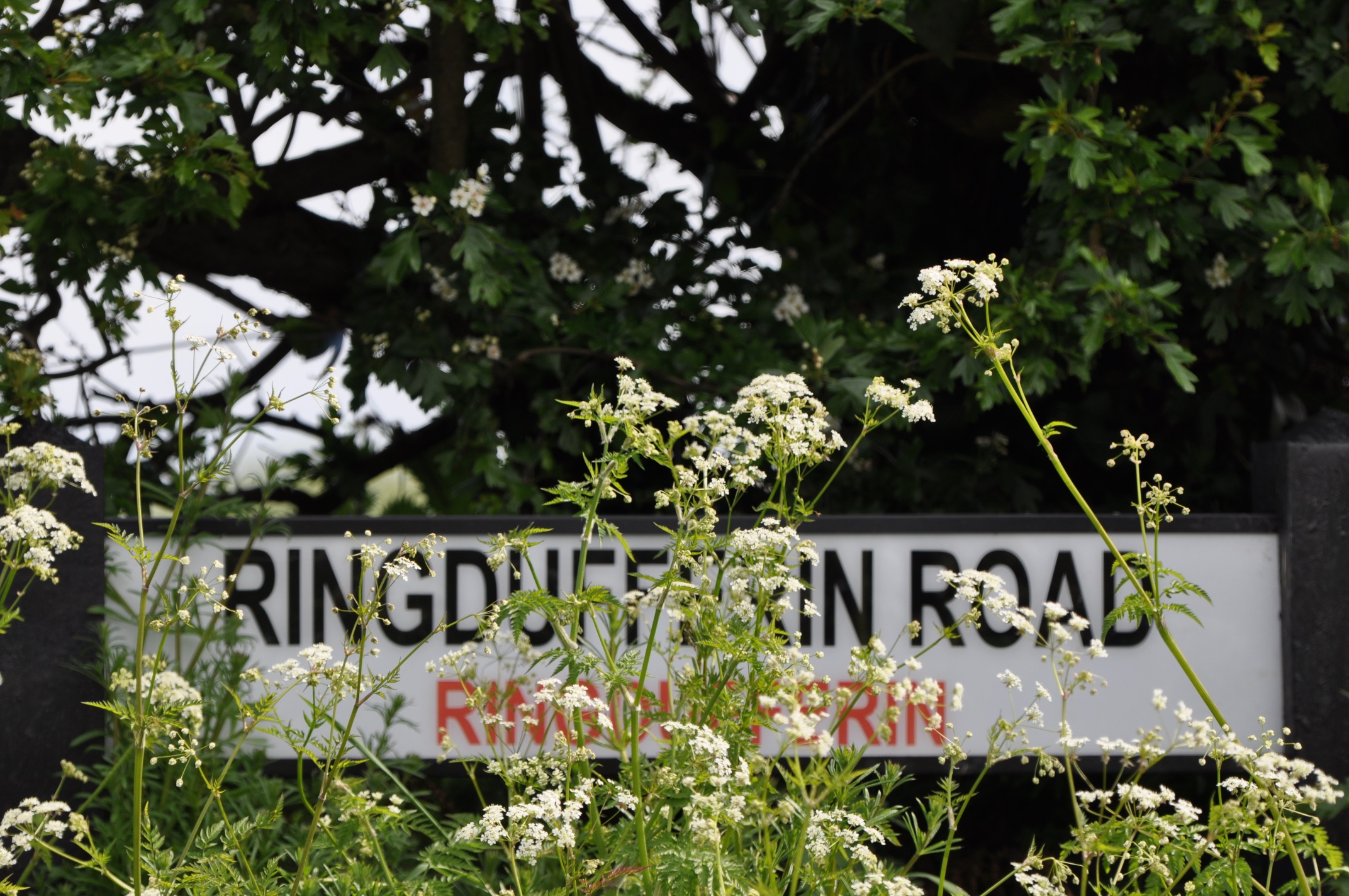 Ringdufferin – Townlands of Ulster