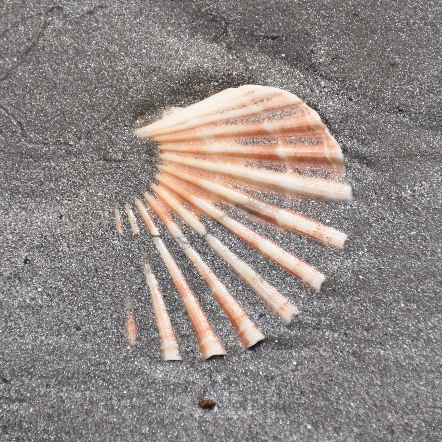 Portavogie – Townlands of Ulster