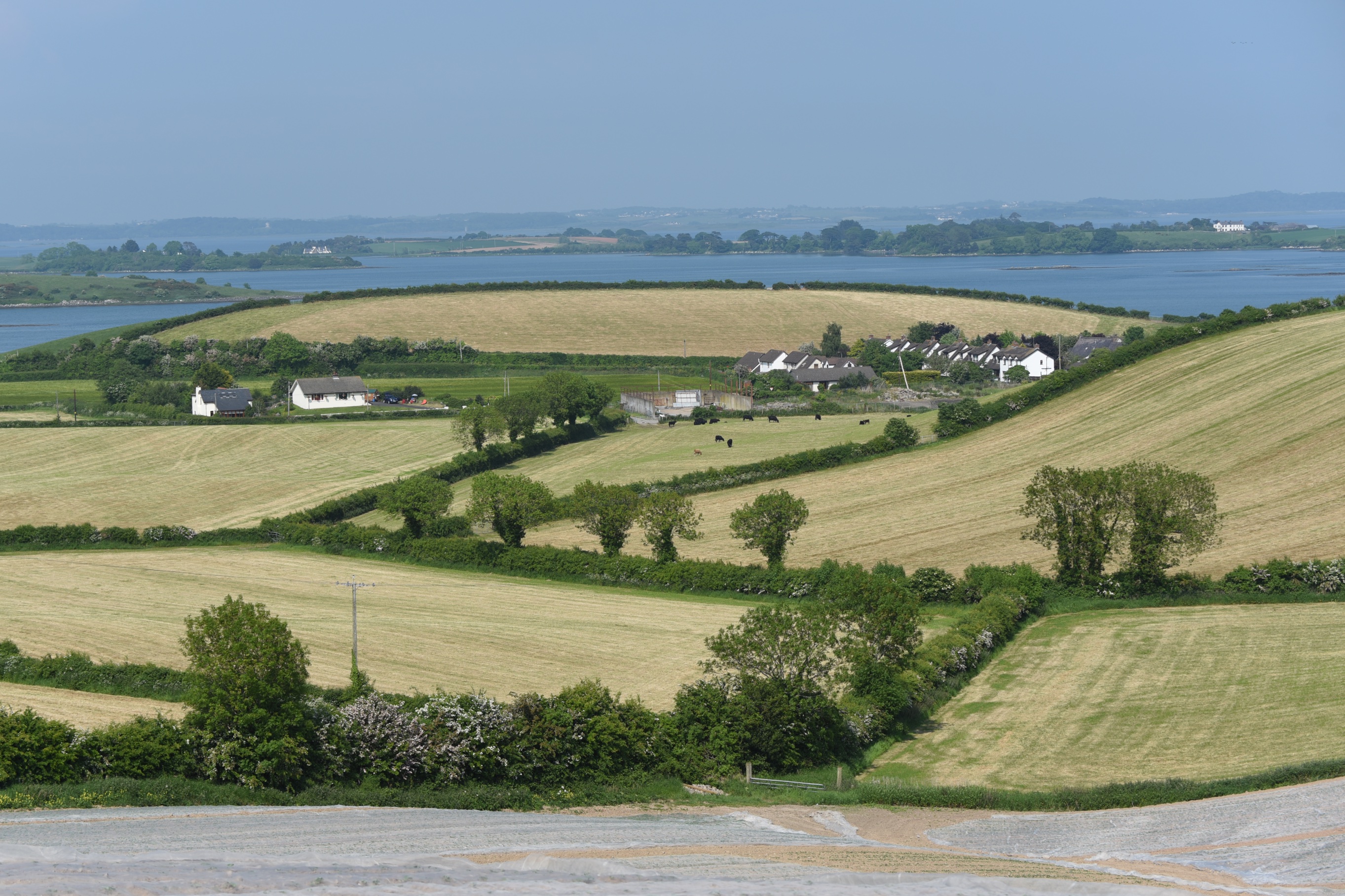Ballymartin – Townlands of Ulster