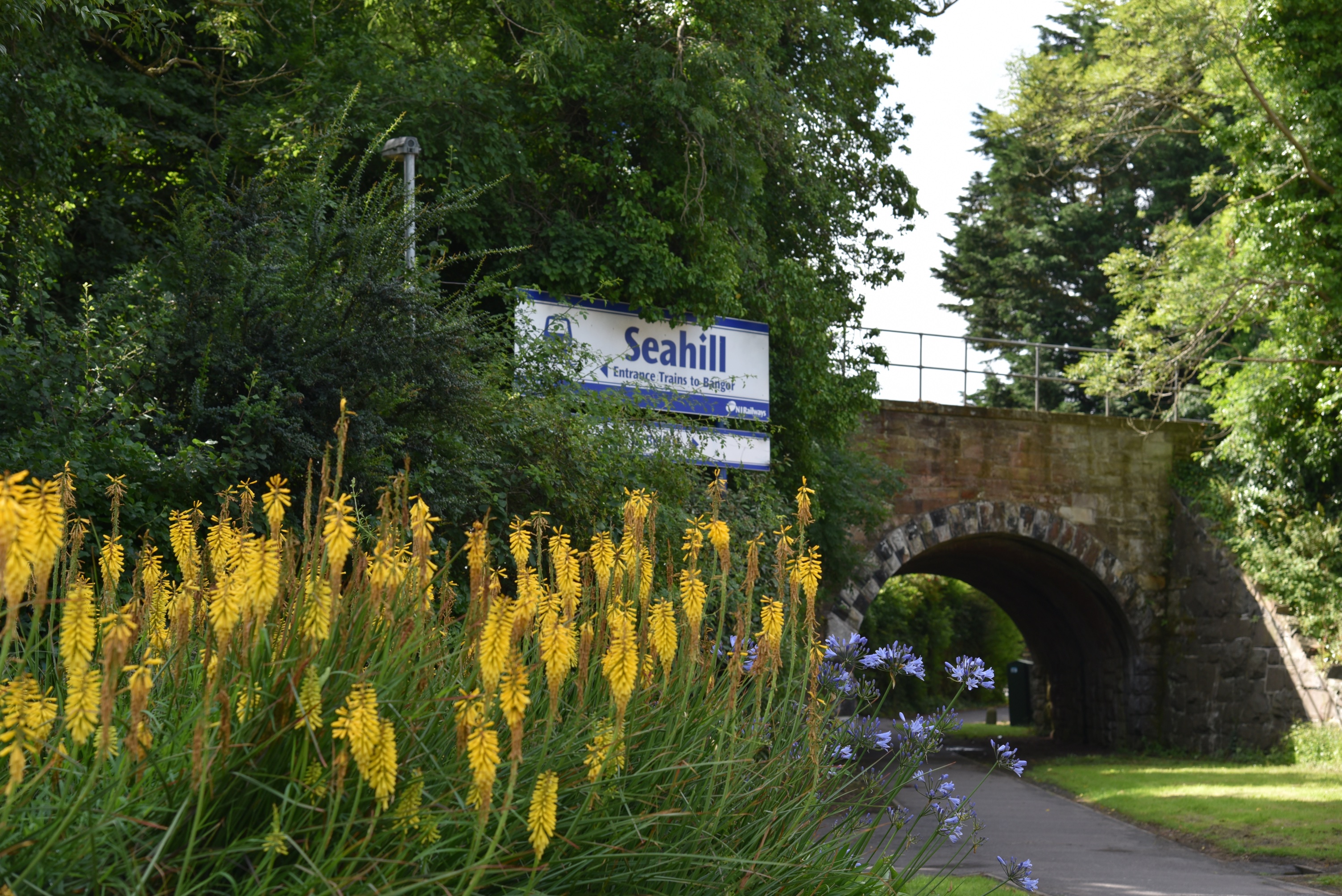 Ballyrobert – Townlands of Ulster